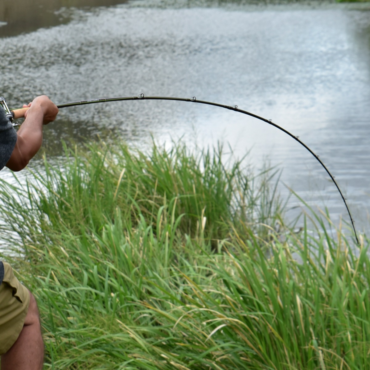 L753 DIFFY (3pcs) | Rattytwister